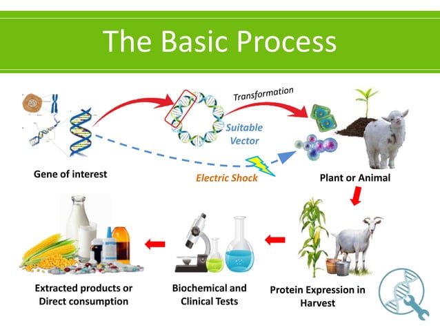 Biopharming - Introduction, Application, benefits and potential threats