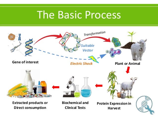 Biopharming - Introduction, Application, benefits and potential threa…