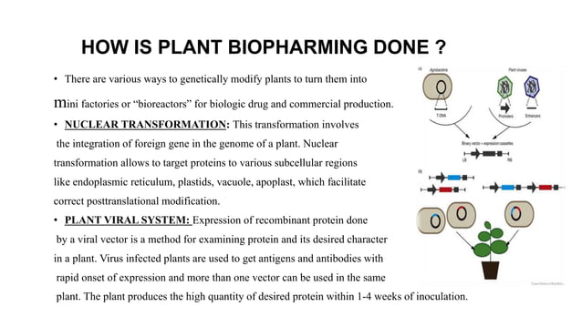Biopharming | PPTX