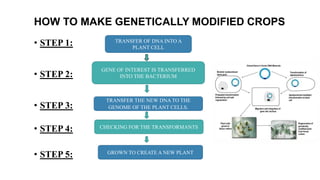 Biopharming | PPTX