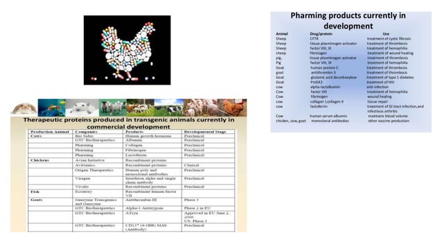 Biopharming | PPTX