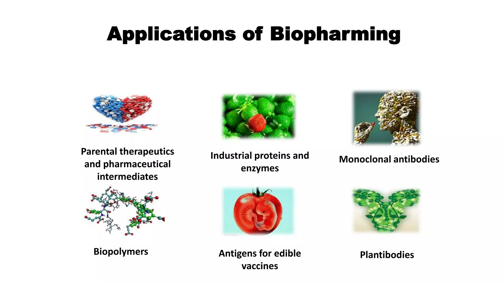 Biopharming vaccine | PPT