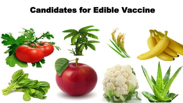 Biopharming vaccine | PPT