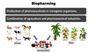 Biopharming vaccine | PPT