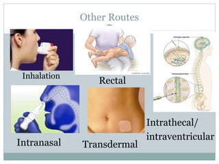 Biopharm review1 | PPT