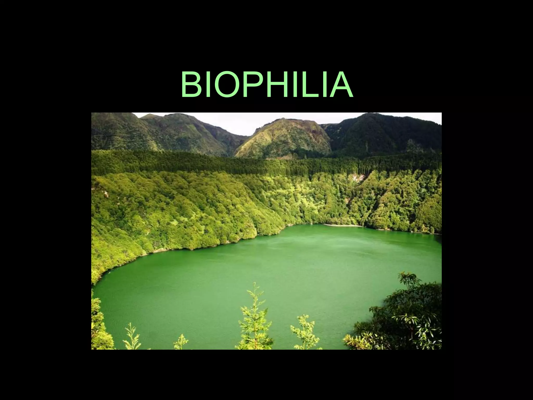 Biophilia and biomimicry | PPTX