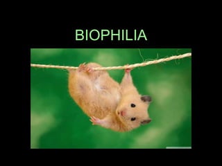 Biophilia and biomimicry | PPTX