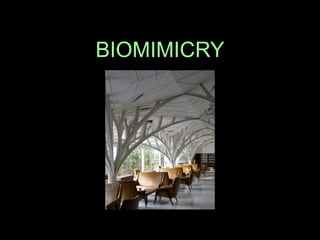 Biophilia and biomimicry | PPTX