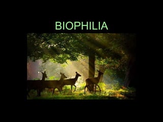 Biophilia and biomimicry | PPTX