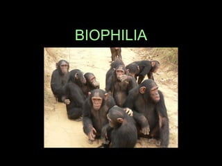 Biophilia and biomimicry | PPTX