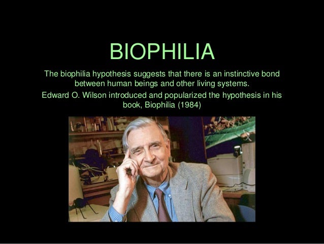 Biophilia and biomimicry