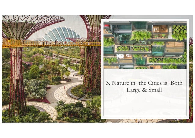 Biophilic cities by rohayah | PDF | Landscaping | Home & Garden
