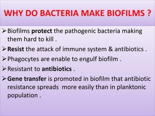 Biophilms | PPT
