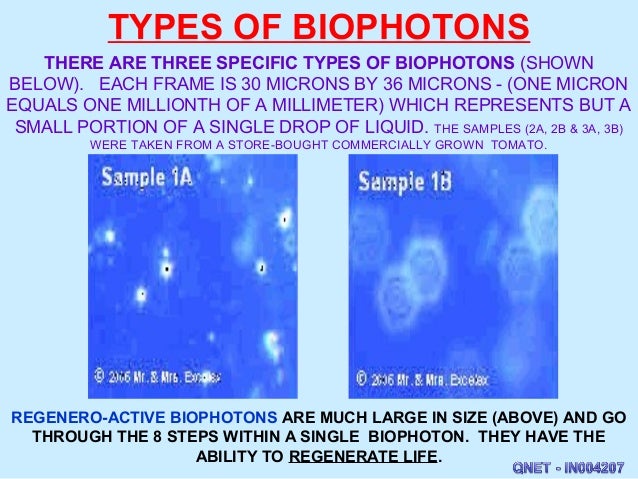 Biodisc - Biophotons