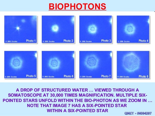 Biodisc - Biophotons
