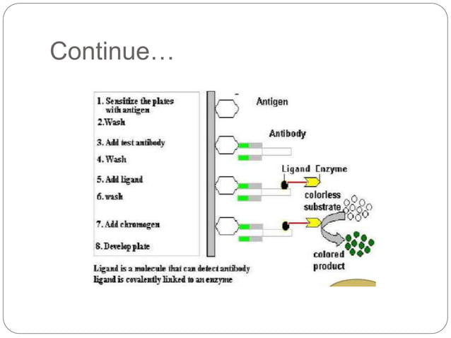 biophysical &biomedical analysis.pptx