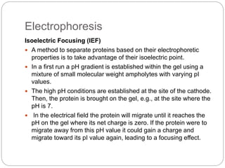 biophysical &biomedical analysis.pptx