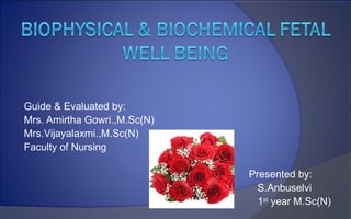 Biophysical and biophysical well being | PPT
