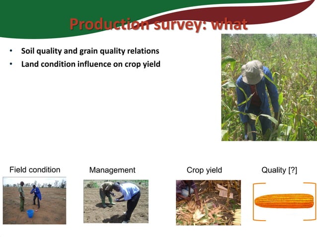 Identification of the key biophysical production constraints to crops ...
