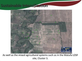 Identification of the key biophysical production constraints to crops ...
