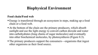 Biophysical Environment.pptx