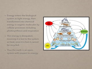 Biophysical Interactions and Functioning | PDF