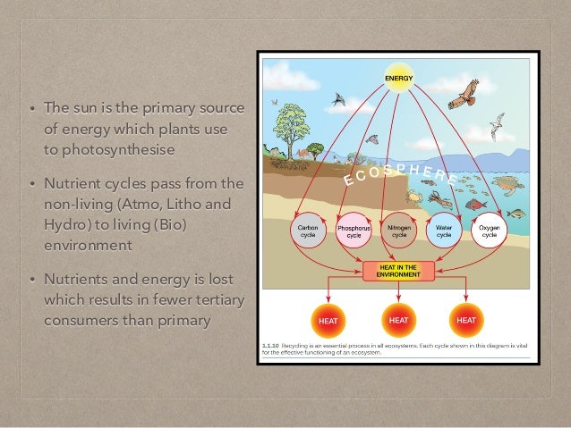 Biophysical Interactions and Functioning