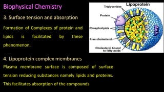 Biophysical Properties – Lecture -4.pptx
