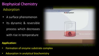 Biophysical Properties – Lecture -4.pptx