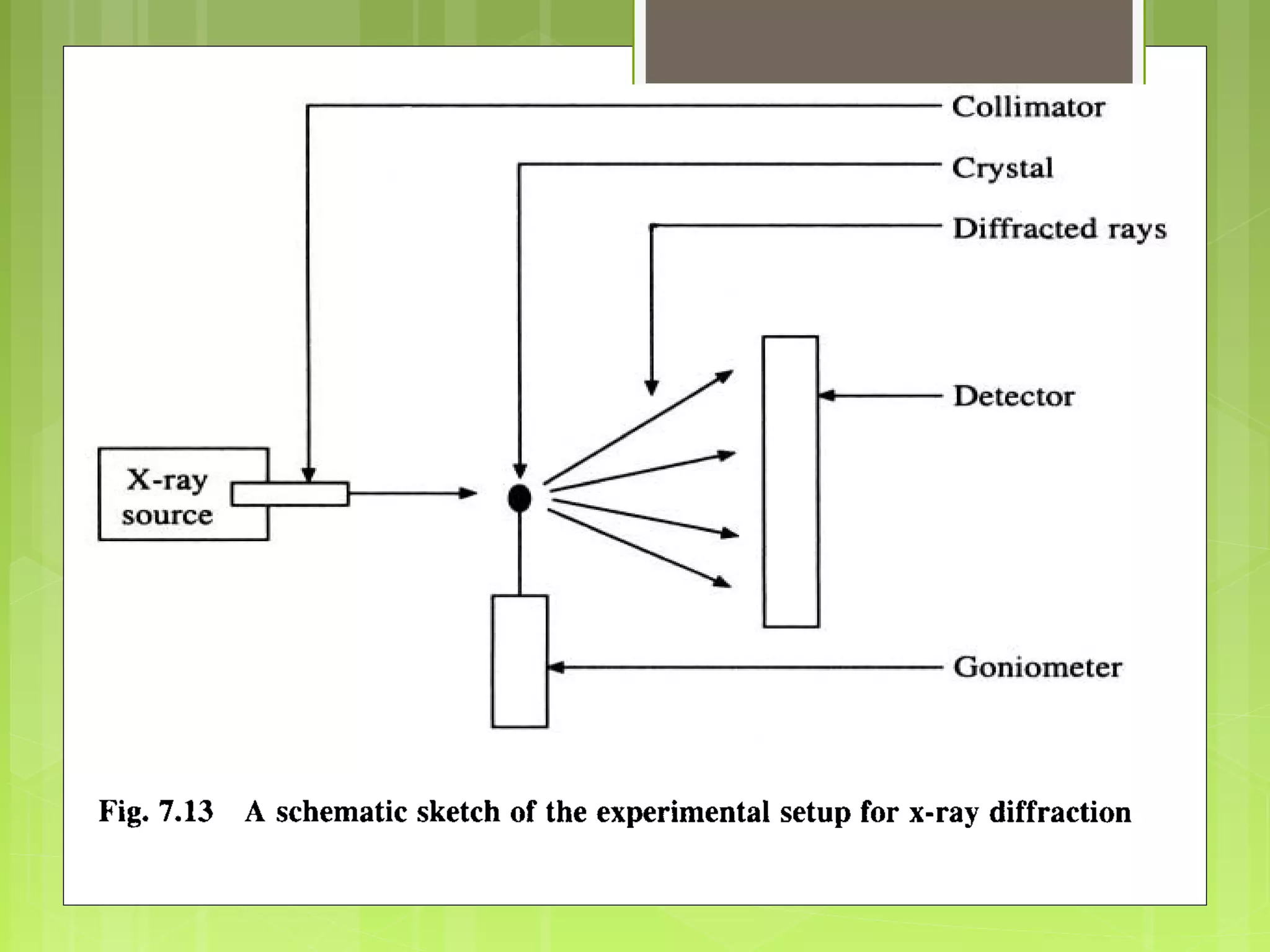 Biophysical techniques | PPT