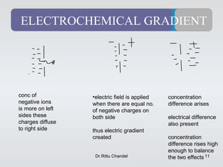 Biophysics -diffusion,osmosis,osmotic pressure,dialysis | PPT