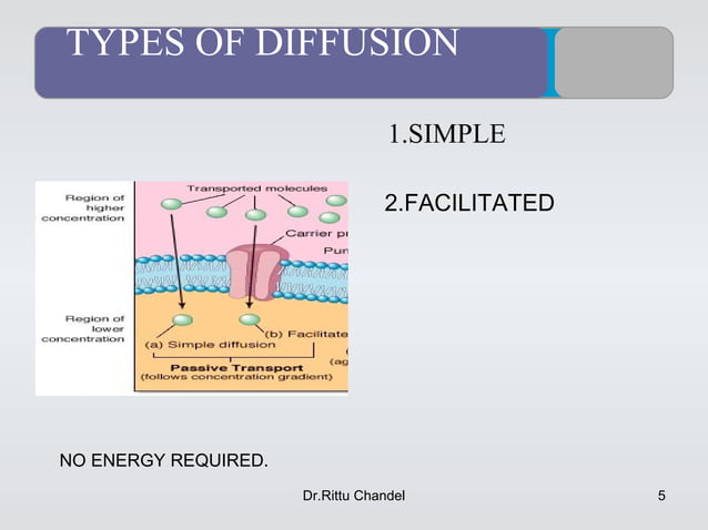 Biophysics -diffusion,osmosis,osmotic pressure,dialysis | PPT | Physics ...