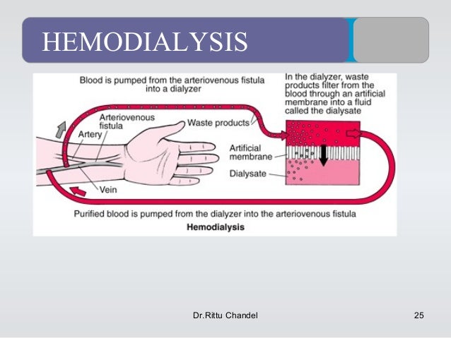 Biophysics -diffusion,osmosis,osmotic pressure,dialysis