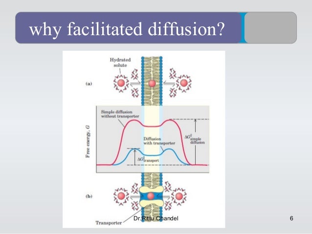 Biophysics -diffusion,osmosis,osmotic pressure,dialysis