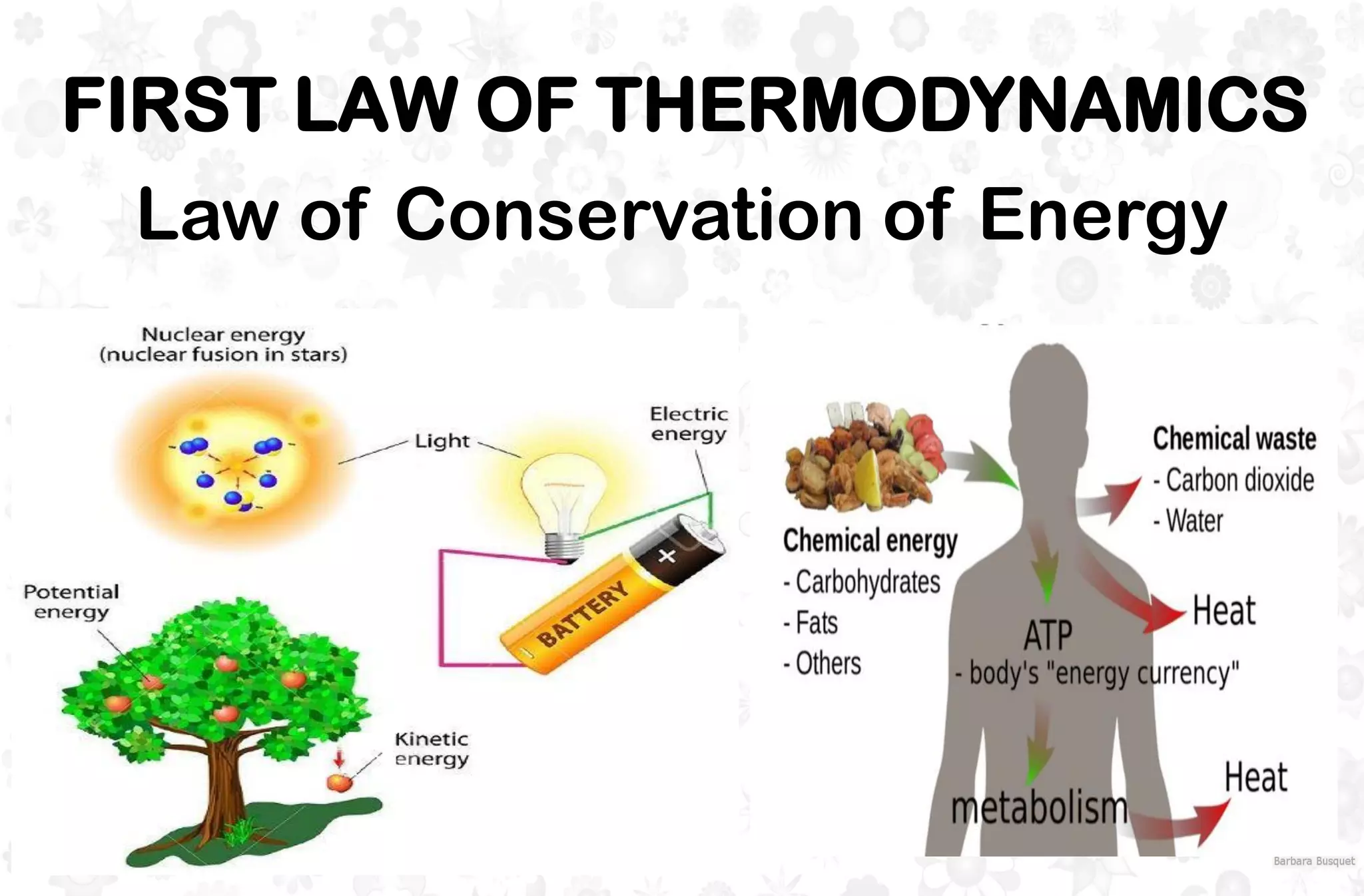 Biophysics thermodynamics | PDF