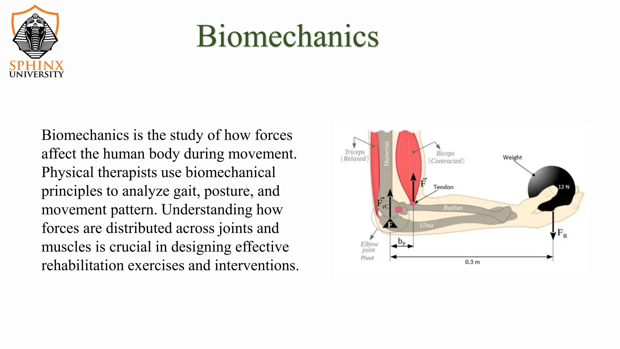 Biophysics Applications in Physical Therapy | PDF