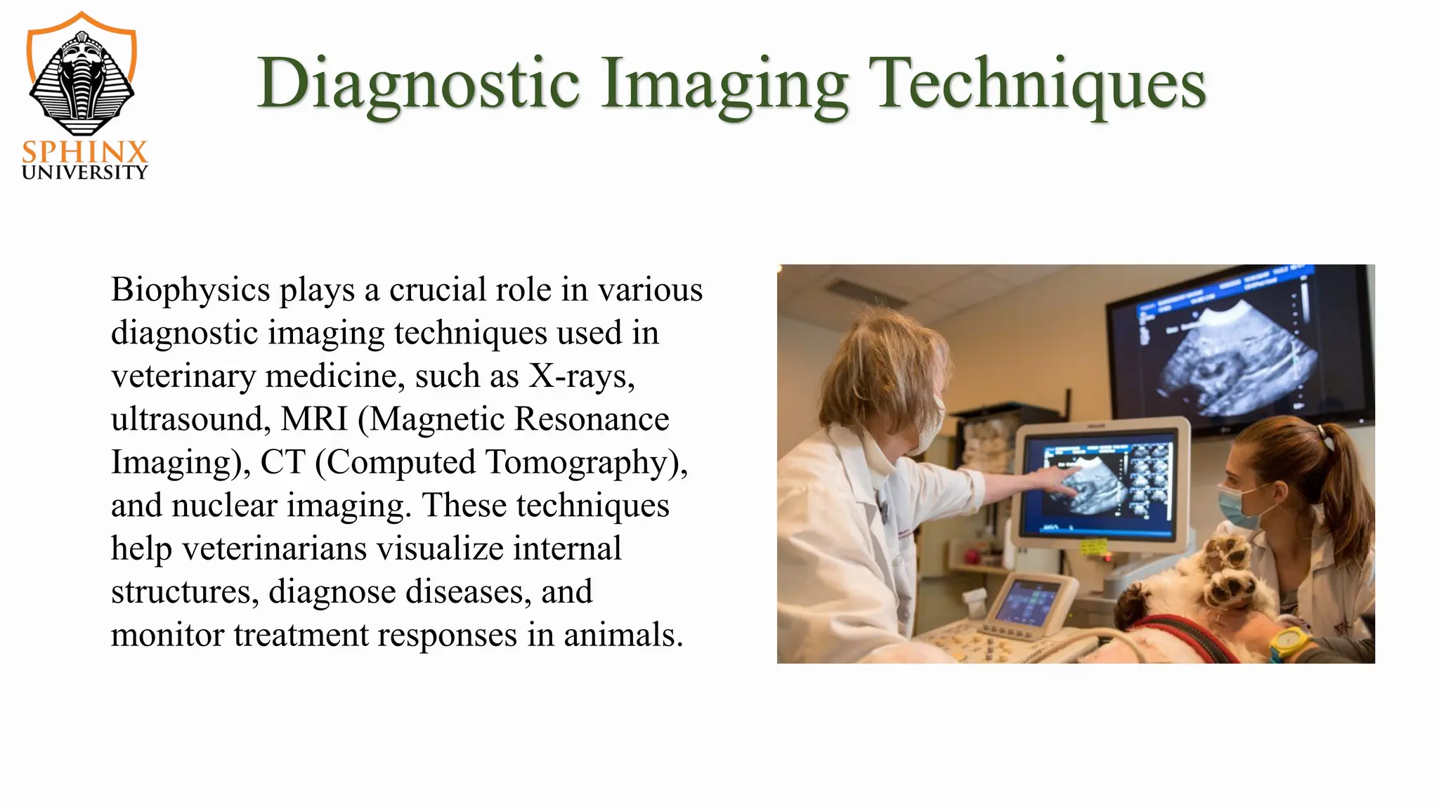 Biophysics Applications in Veterinary Medicine | PDF