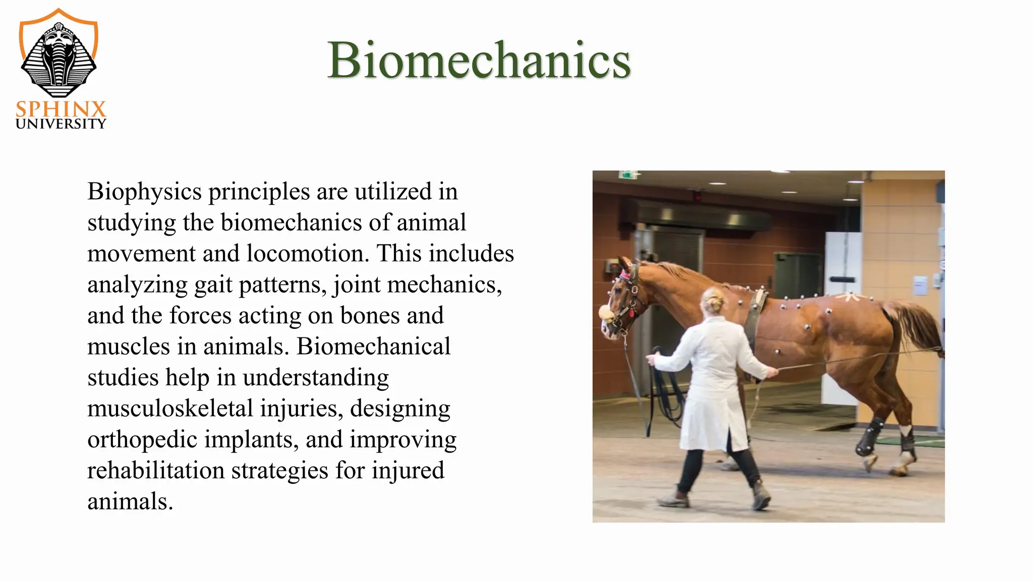 Biophysics Applications in Veterinary Medicine | PDF