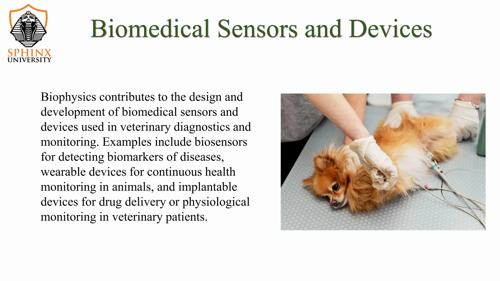 Biophysics Applications in Veterinary Medicine | PDF