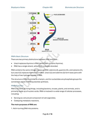 Biophysics Chapter 5 Biomoelculat Structure.pdf