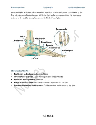 Biophysics Chapter 6 Biophysical Process.pdf