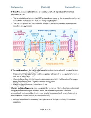 Biophysics Chapter 6 Biophysical Process.pdf