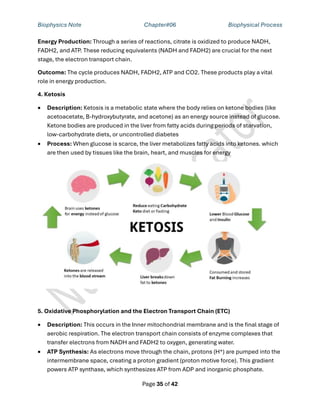 Biophysics Chapter 6 Biophysical Process.pdf