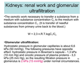 Biophysics ofcardiovascularsystem fin | PPT