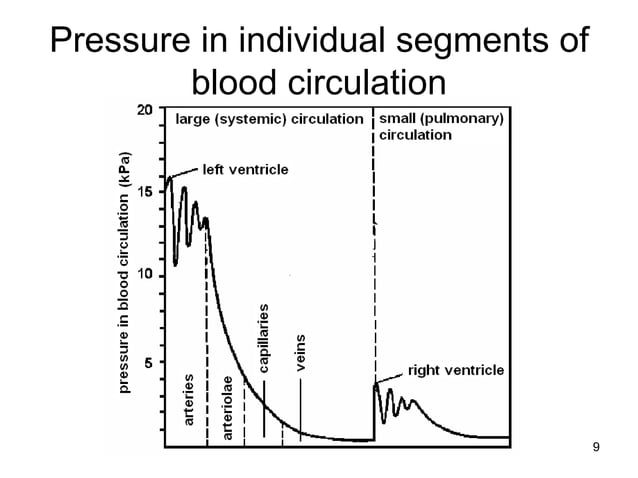 Biophysics ofcardiovascularsystem fin | PPT | Heart and Cardiovascular ...