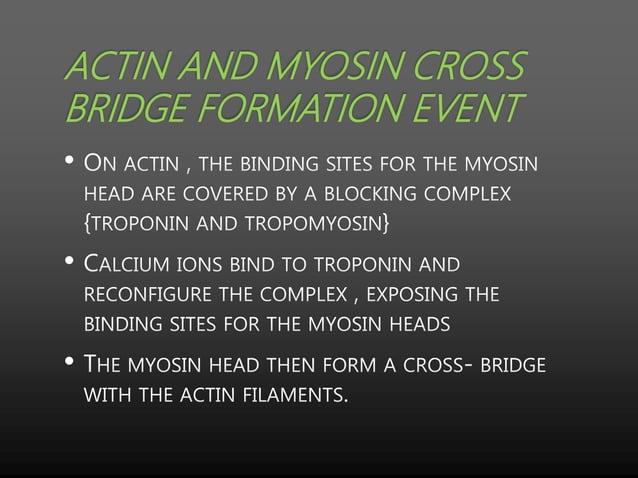 Physiology of muscles contraction.ppt | Biological Sciences | Science