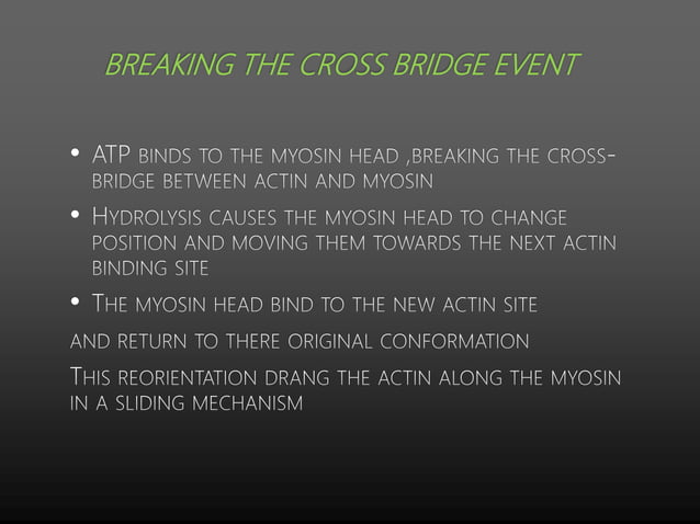 Physiology of muscles contraction.ppt | Biological Sciences | Science