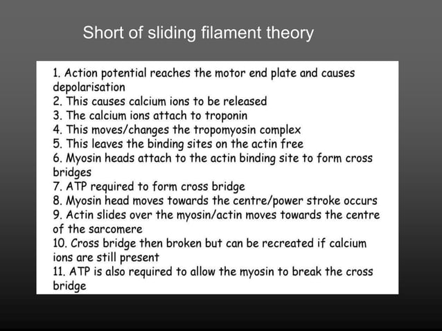 Physiology of muscles contraction.ppt | Biological Sciences | Science