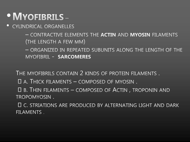 Physiology of muscles contraction.ppt | Biological Sciences | Science