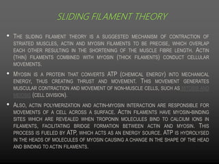 Physiology of muscles contraction.ppt